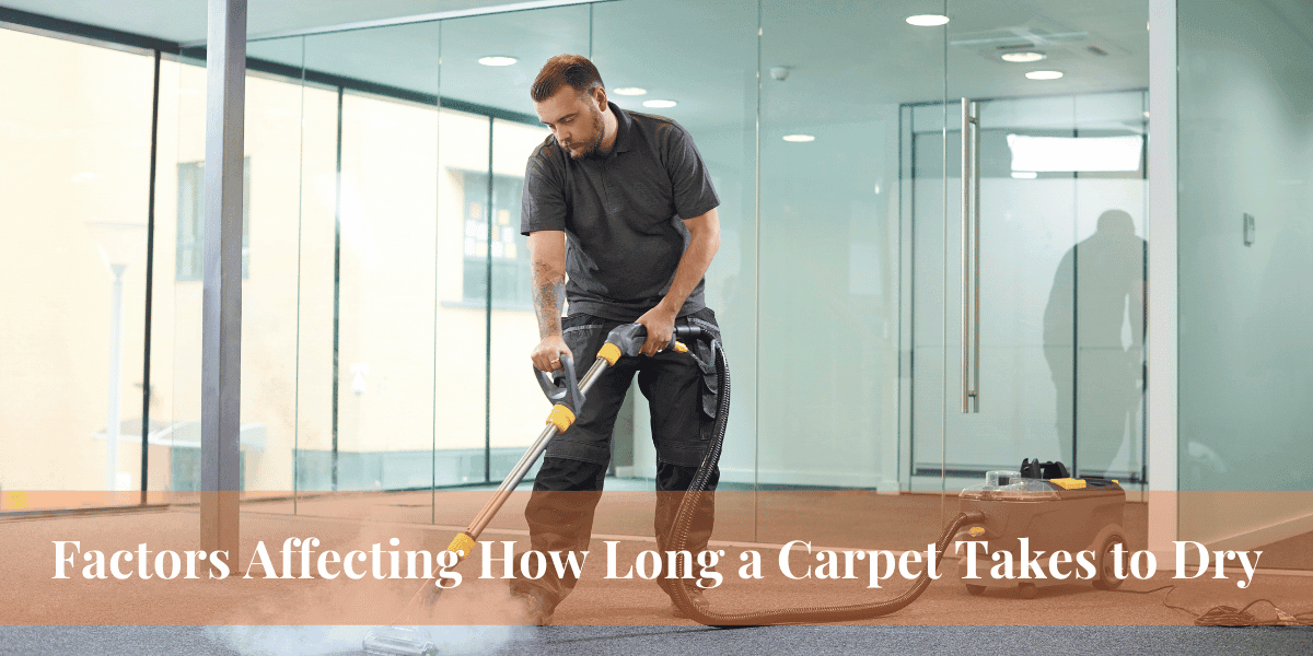 Best Way to Dry Carpet After Cleaning Fast